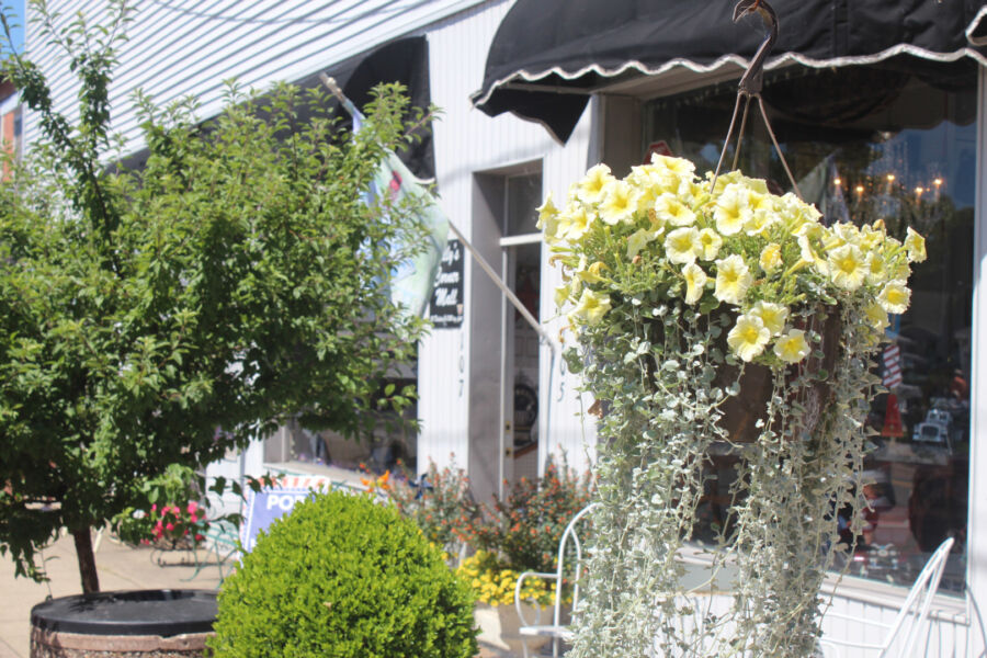 Lilly’s Pad in Lilly’s Corner Mall | Antique Shops and Malls | Downtown ...